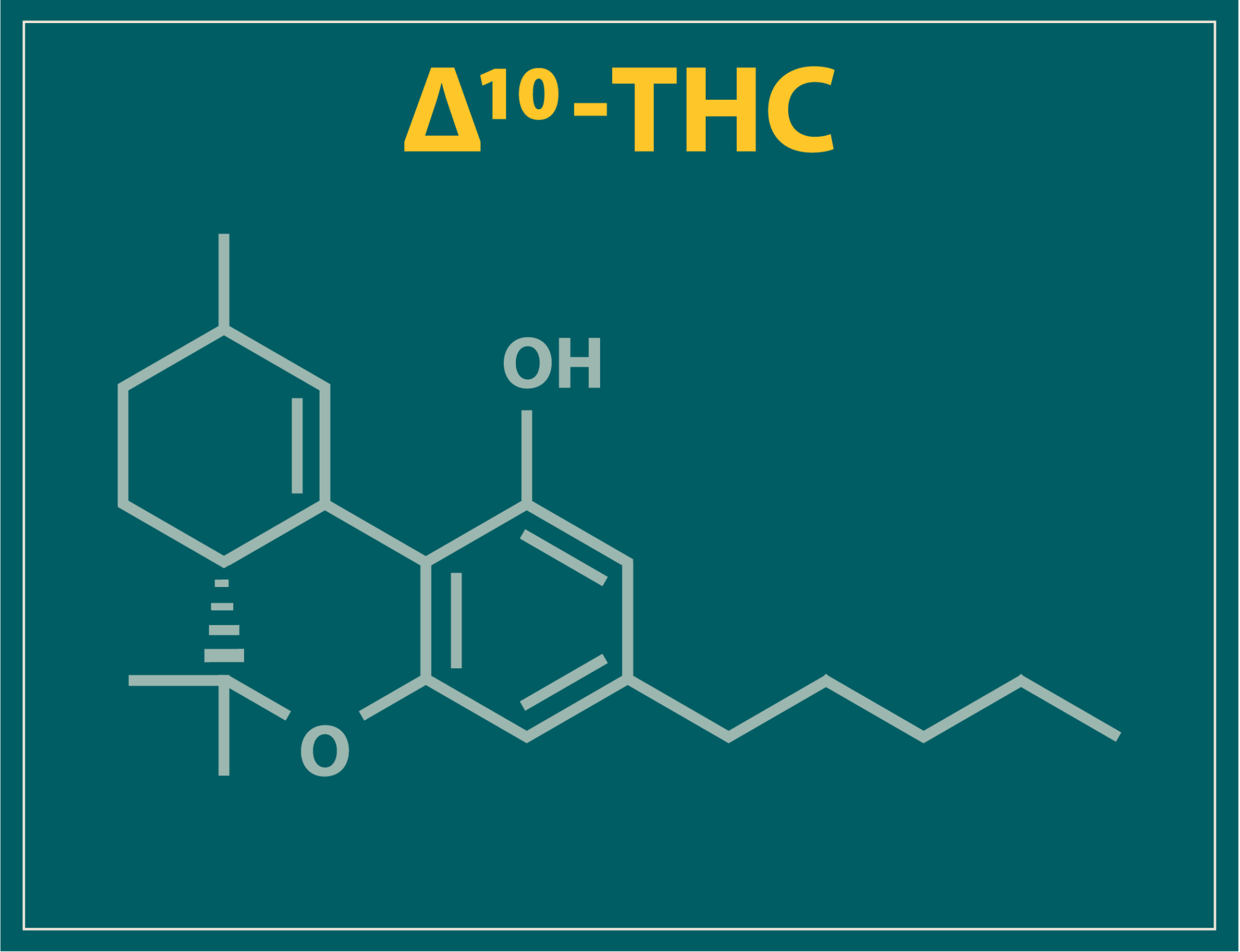 Cannabis for Beginners | Cannabis Basics | Key Cannabis